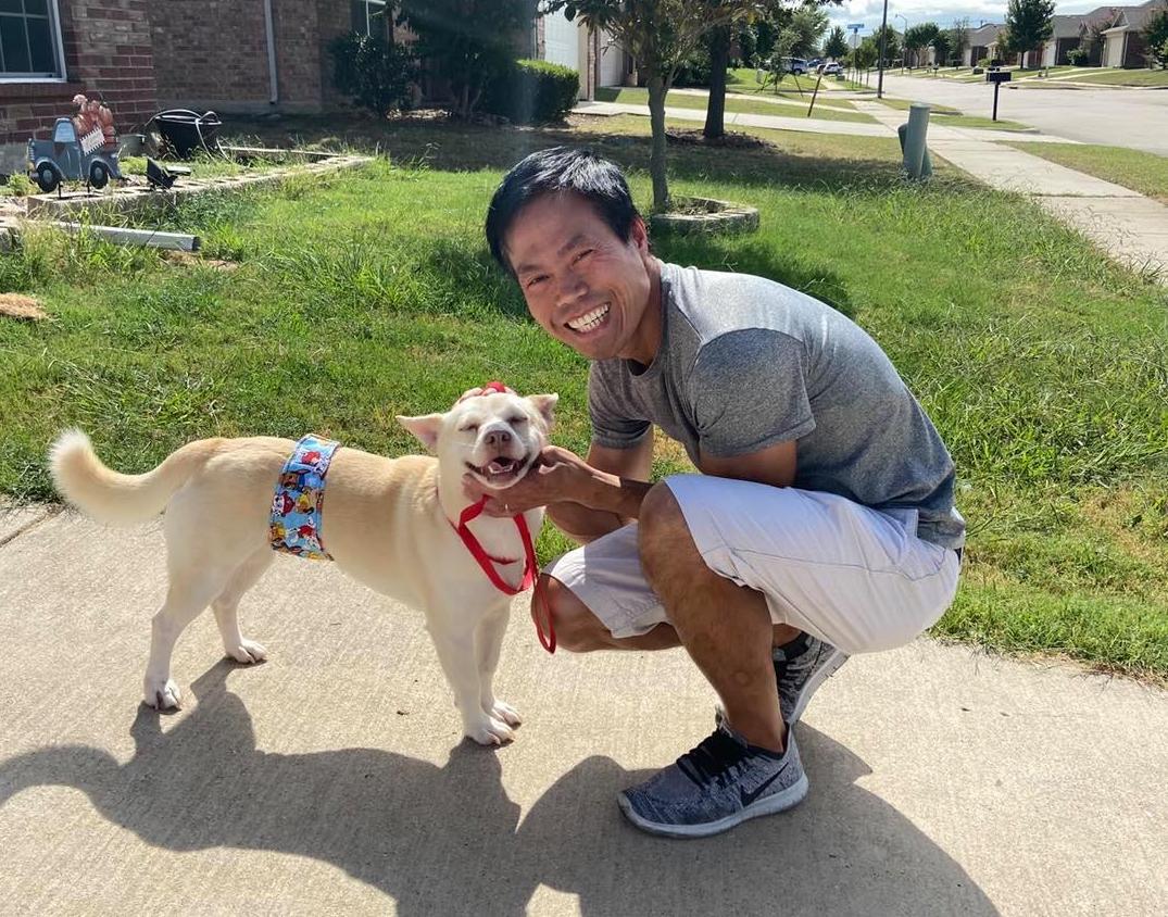 Happy Tails Dogs – Hearts & Tails of Hope Pet Rescue